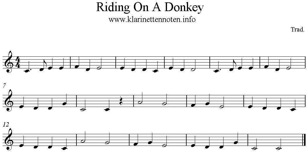 Riding On A Donkey